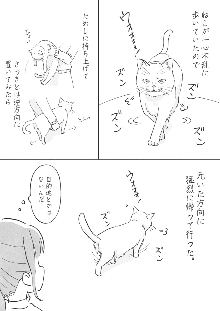 香車ねこ